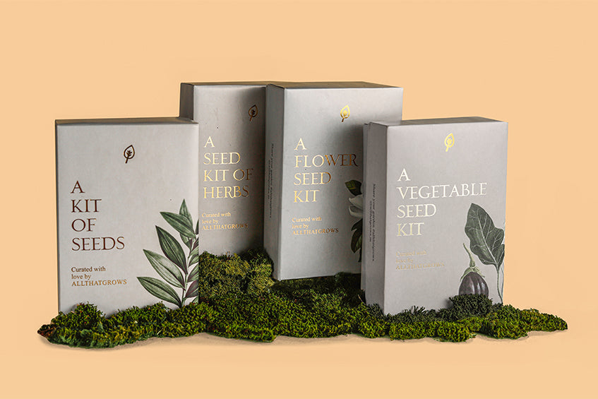 Green Gifts: Creative Ideas to Gift Seeds to Your Loved Ones