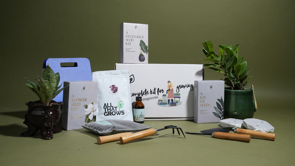 Sustainable Gift Ideas for the Environmentally Conscious