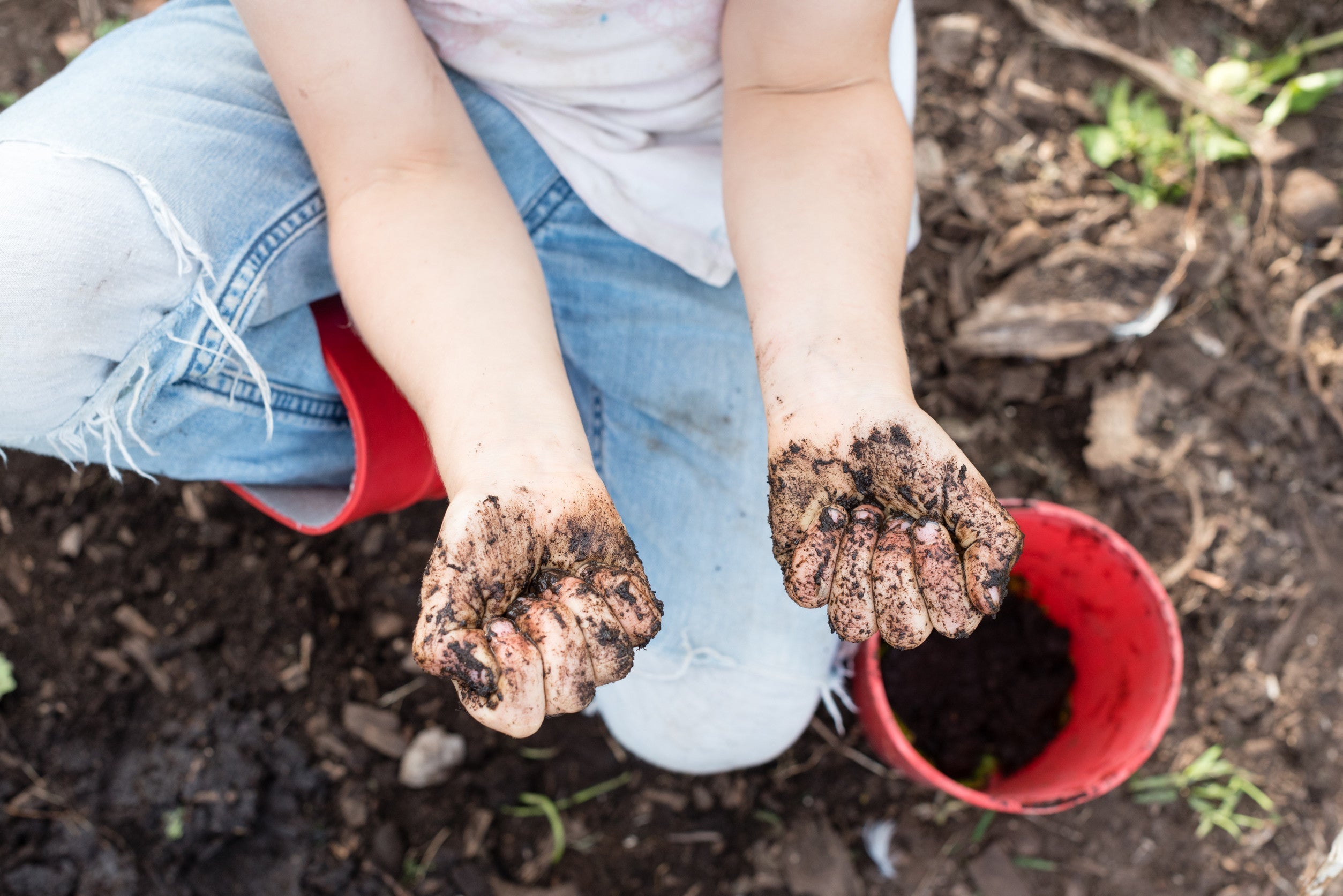 Start Composting at School: Simple Steps for Teachers and Students ...