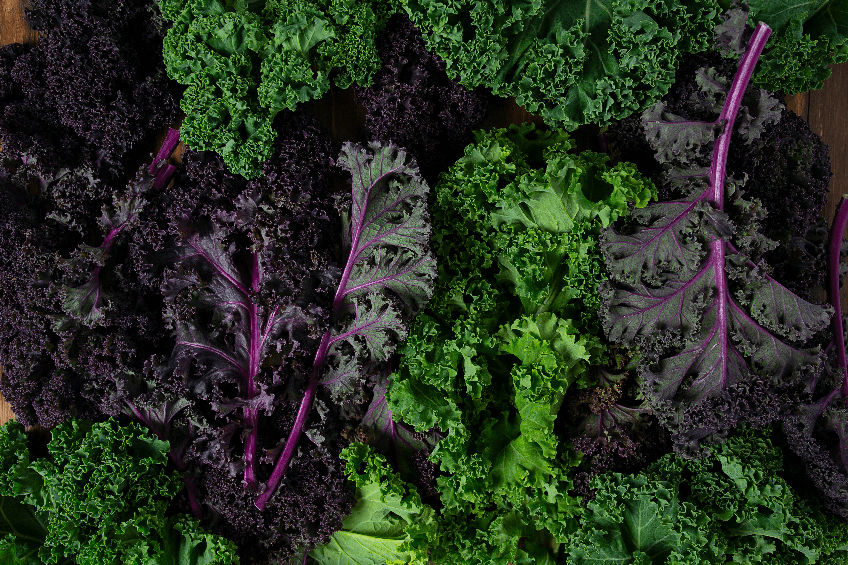 Garden Vegetables List Low Light Lighting For Indoor Plants And