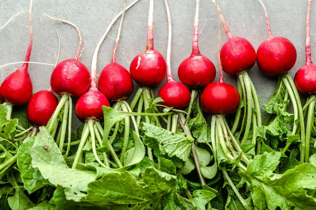 Radish Varieties for Your Winter Garden: A Flavorful Guide