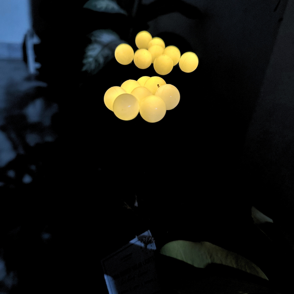 Lumina Garden Solar Lights - Set of 2 | Swaying Warm Yellow LED Lights ...