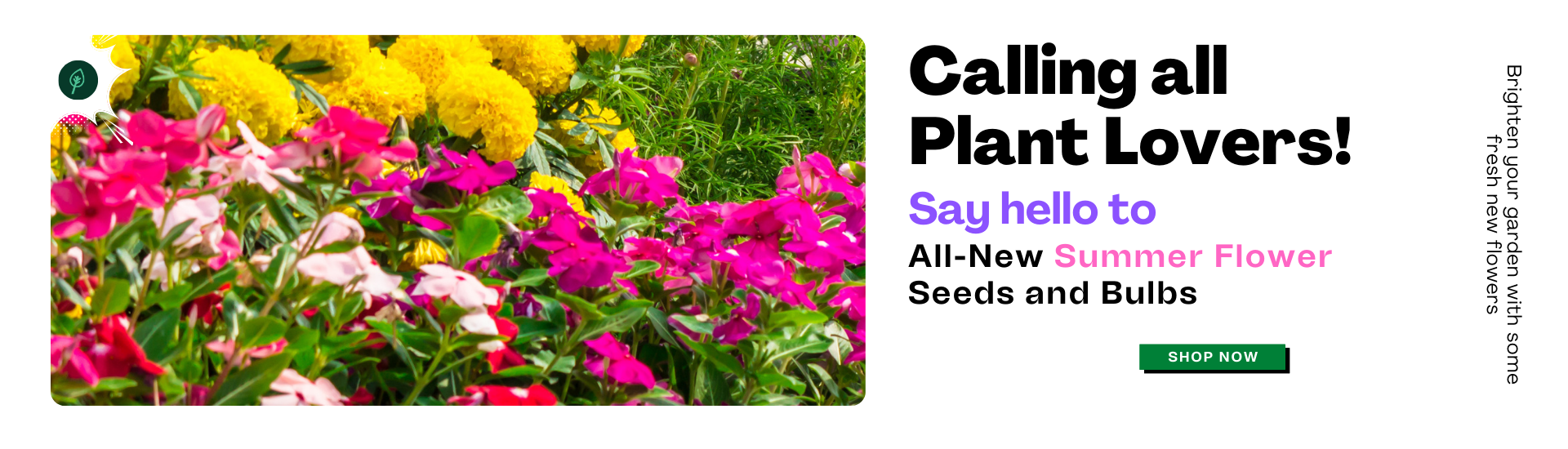 Buy Seeds Online India at Best Prices | AllThatGrows