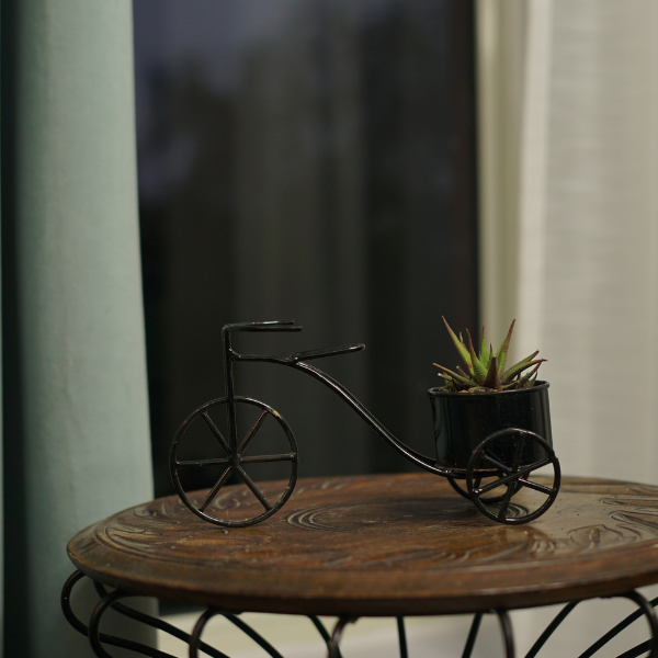 Introducing the Raven CycleShow Planter: Stylish Tri Cycle Stand in ...