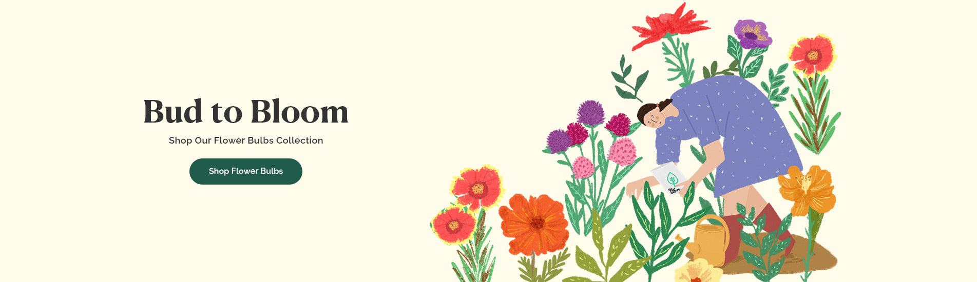 Buy Seeds Online India at Best Prices | AllThatGrows