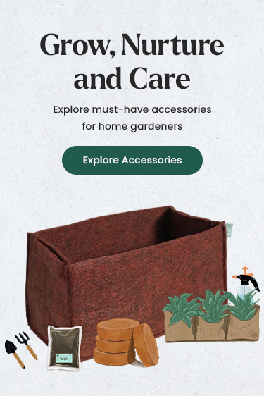 Buy Seeds Online India at Best Prices | AllThatGrows