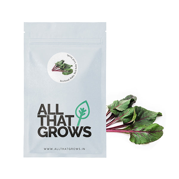 Buy Beet Ruby Red Baby Leaf Seeds | Open-Pollinated Seeds