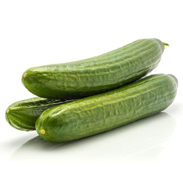 Cucumber Beit Alpha Seeds Online | Shop Non-Treated Cucumber Beit Alpha ...