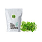 Pak Choi Microgreen Seeds | Non-Hybrid Open Pollinated Seeds