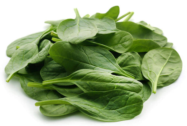Buy Spinach Matador Seeds Online | Spinach Matador Seeds for Home ...