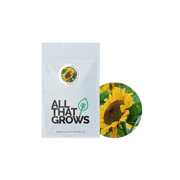Shop Sunflower Japanese Miniature Flower Seeds Online | AllThatGrows