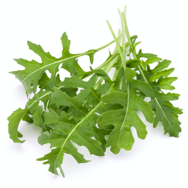 Buy Wild Rocket Seeds from AllThatGrows