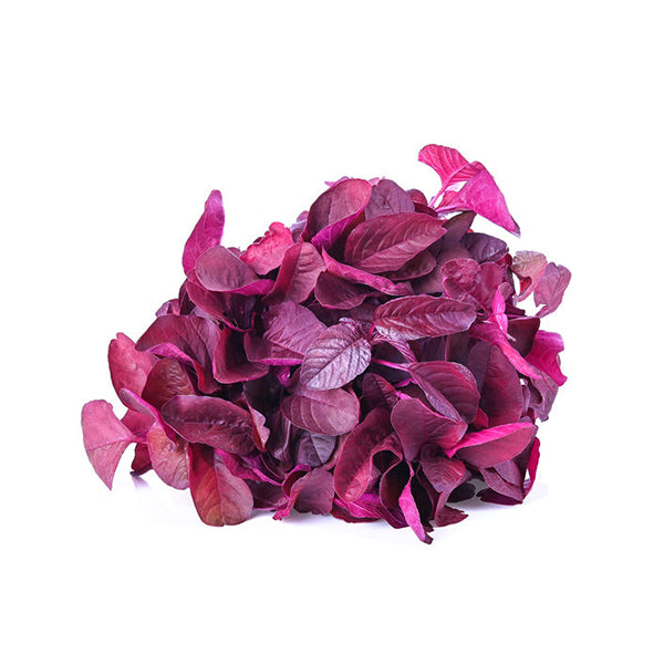 Amaranthus Red Garnet Baby Leaf Seeds | Buy Online in India