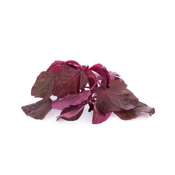 Amaranthus Red Baby Leaf Seeds | Buy Online at Best Price
