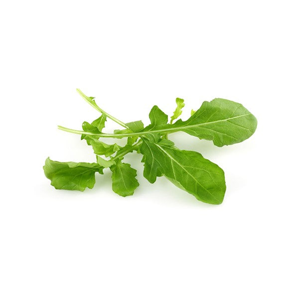 Arugula Baby Leaf Seeds | Non-GMO, Non-Hybrid Seeds Online